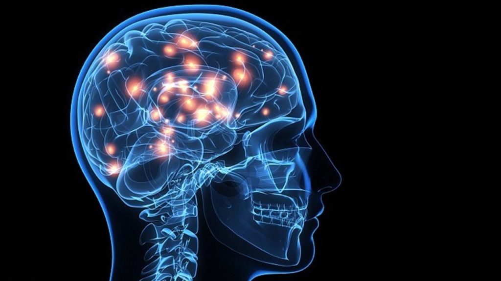 Piracetam Uses & Side-Effects - SelfDecode Drugs